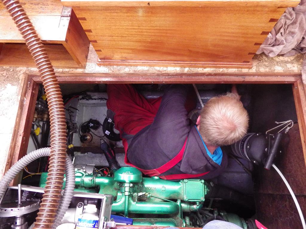 Leben im Dieselkraftstoff