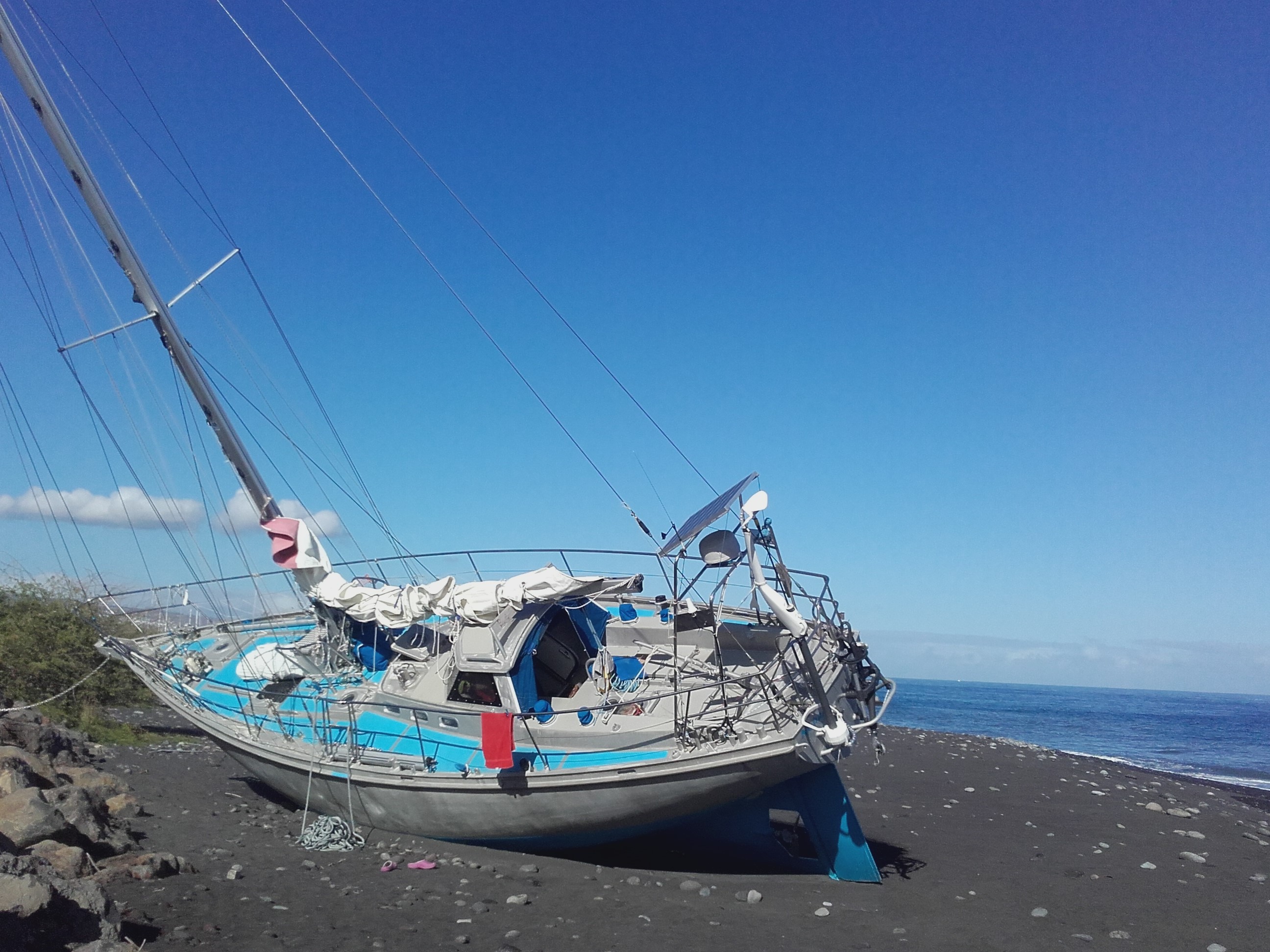 Susanne Huber-Curphey gestrandet